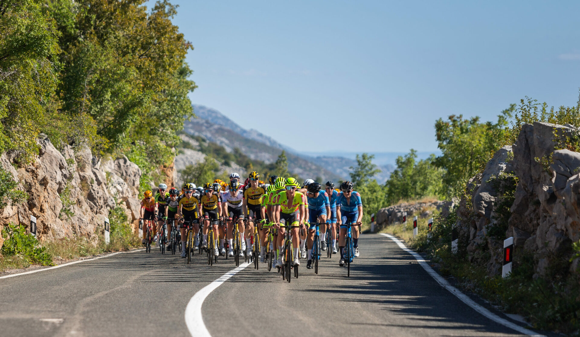 1ʳᵉ étape Cro Race : Elia Viviani renoue avec la victoire - Velo 101