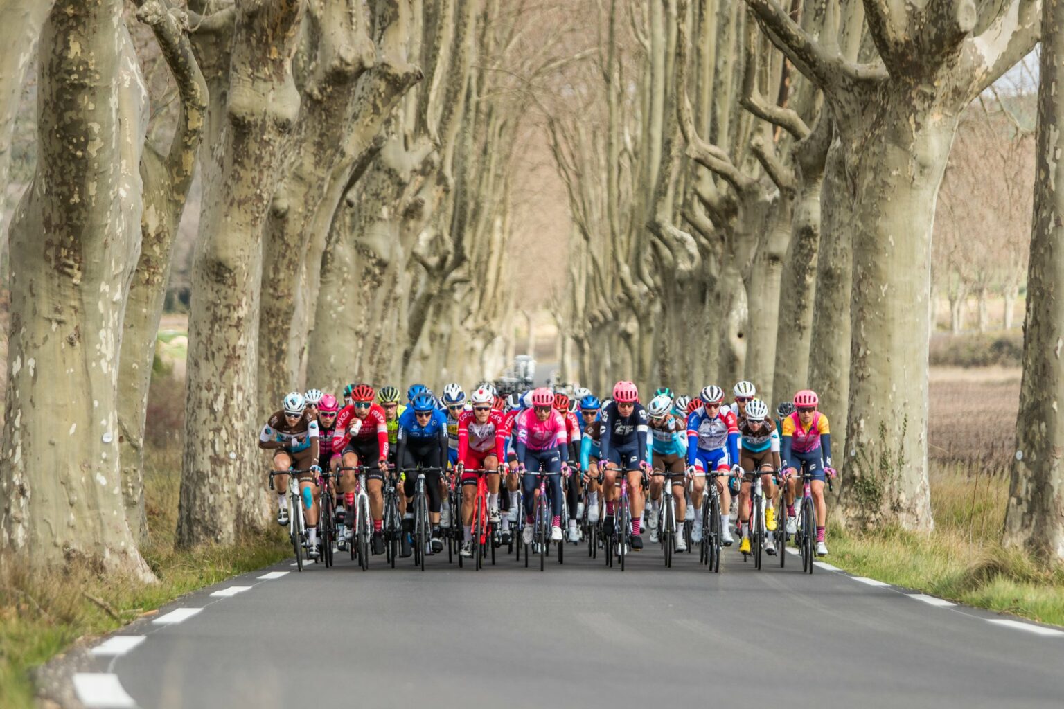 Étoile de Bessèges 2025 : le parcours et les favoris - Velo 101