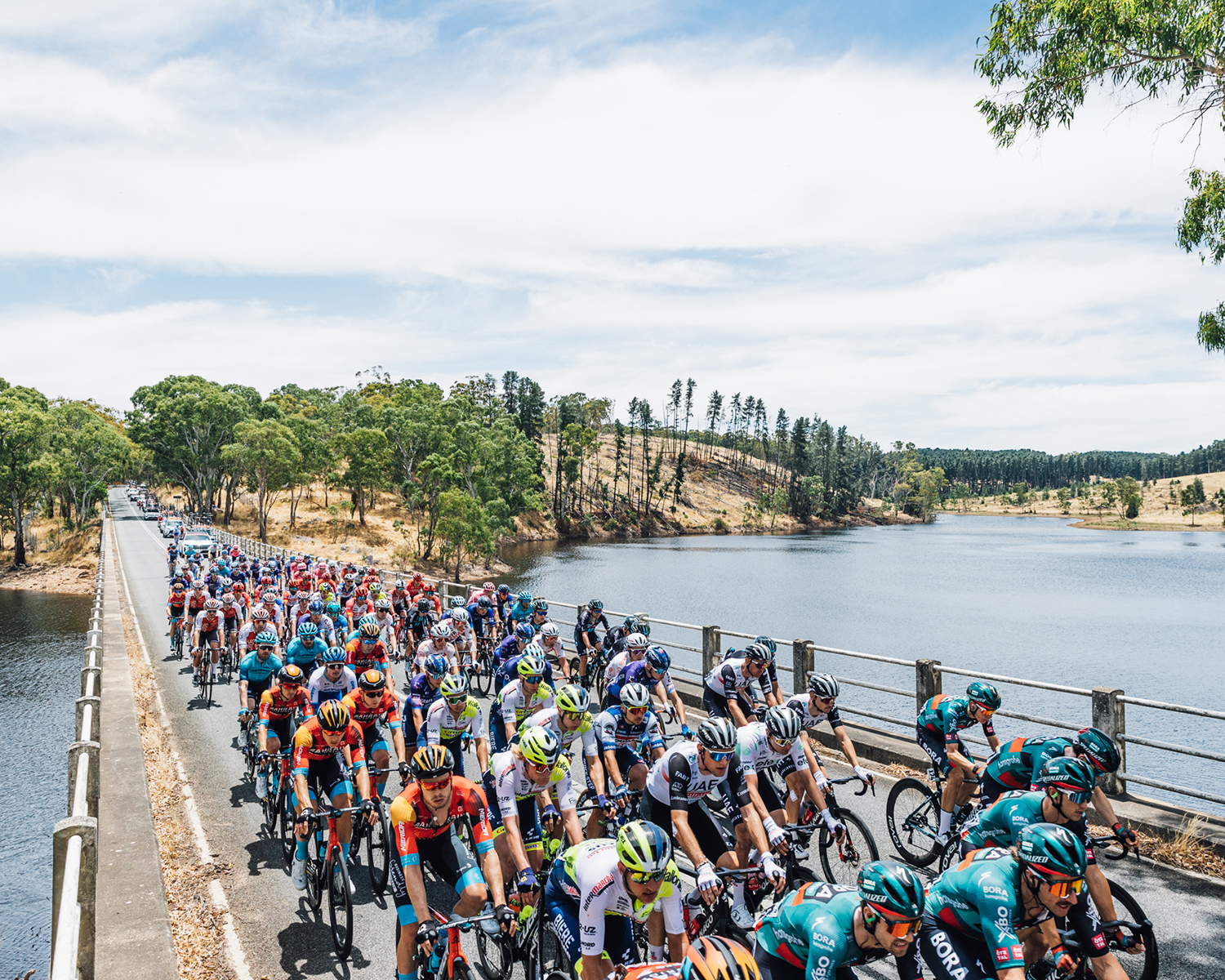 Le parcours et les favoris du Tour Down Under 2024 - Velo 101