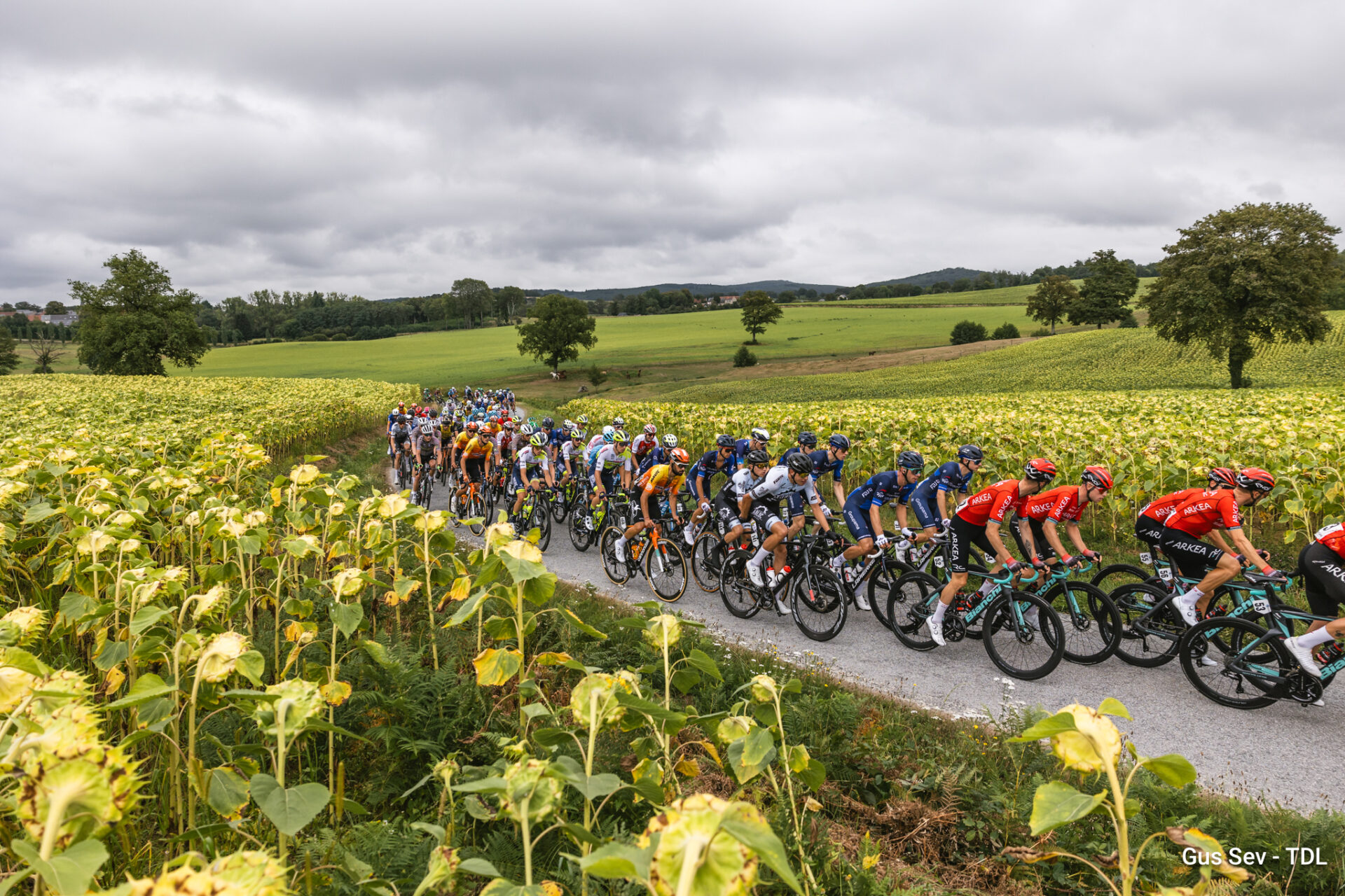 Tour du Limousin : Thomas Gachignard premier leader - Velo 101