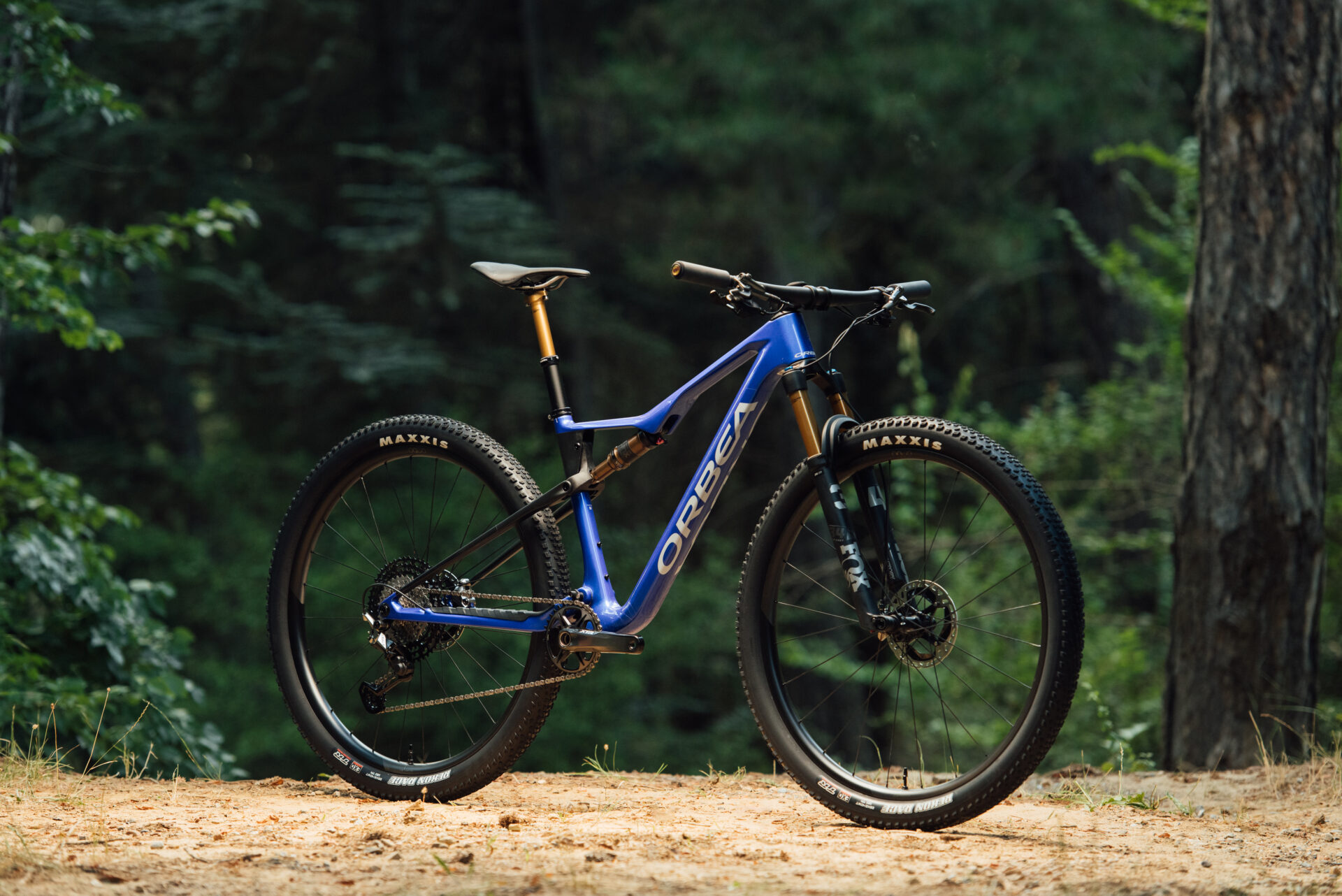 Nouveau Orbea Oiz 2025 - Velo 101