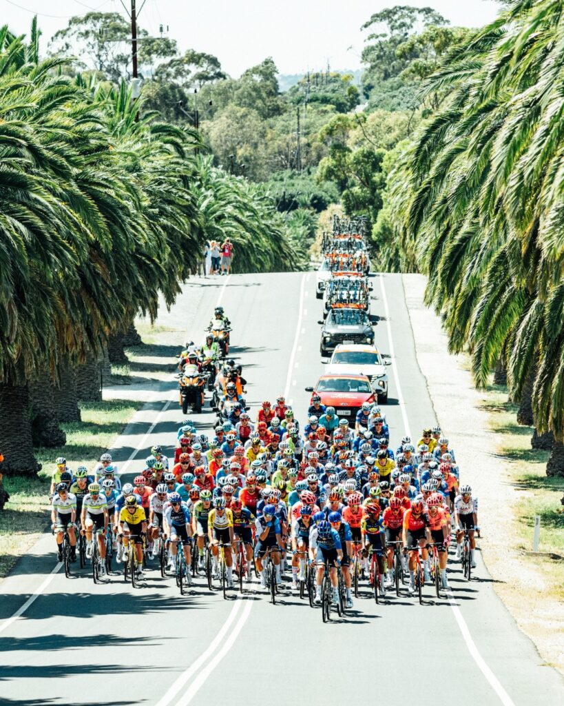 Le parcours et les favoris du Tour Down Under 2026 - Velo 101