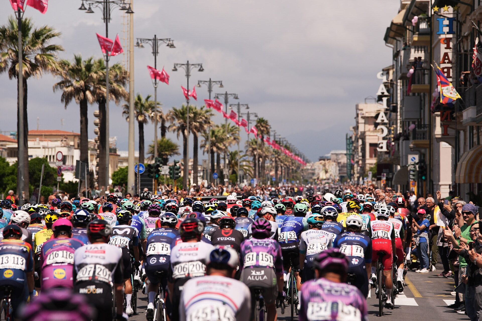 Les favoris du Giro 2025 - Velo 101